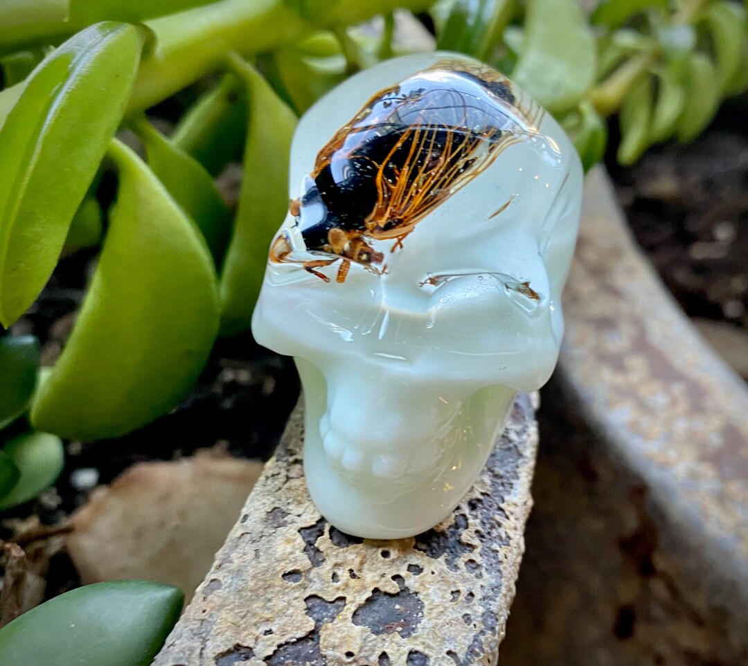Cicada Skull - Etsy