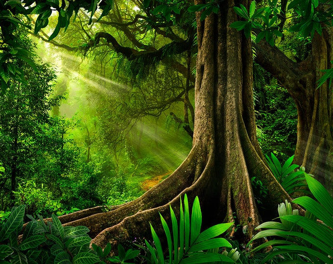 Personalized Magnetic Full Size License Plate Magnet Any State - Etsy