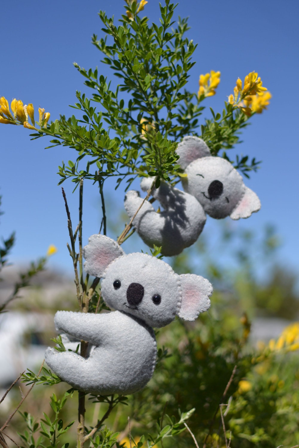 Felt Koala PDF Patterns and Tutorials / Felt Animal PDF - Etsy