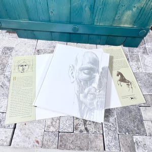 1996 Vintage Cyclopedia Anatomicae Hardcover W/ Dust Jacket Coffee ...