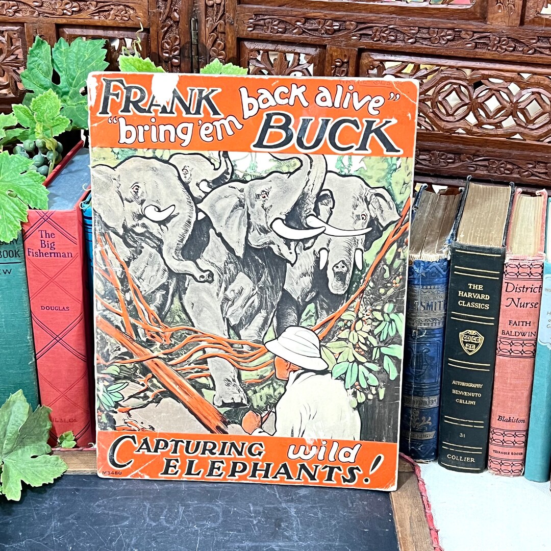 So Cool - 1934 Vintage Children's Book - Frank Buck "bring'em Back ...