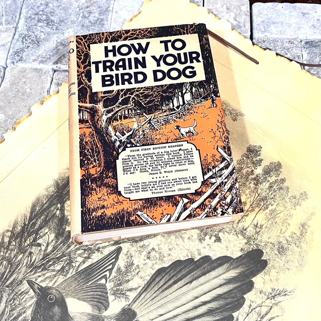 1956 Vintage Book How to Train Your Bird Dog Hardcover W/ Dust Jacket ...
