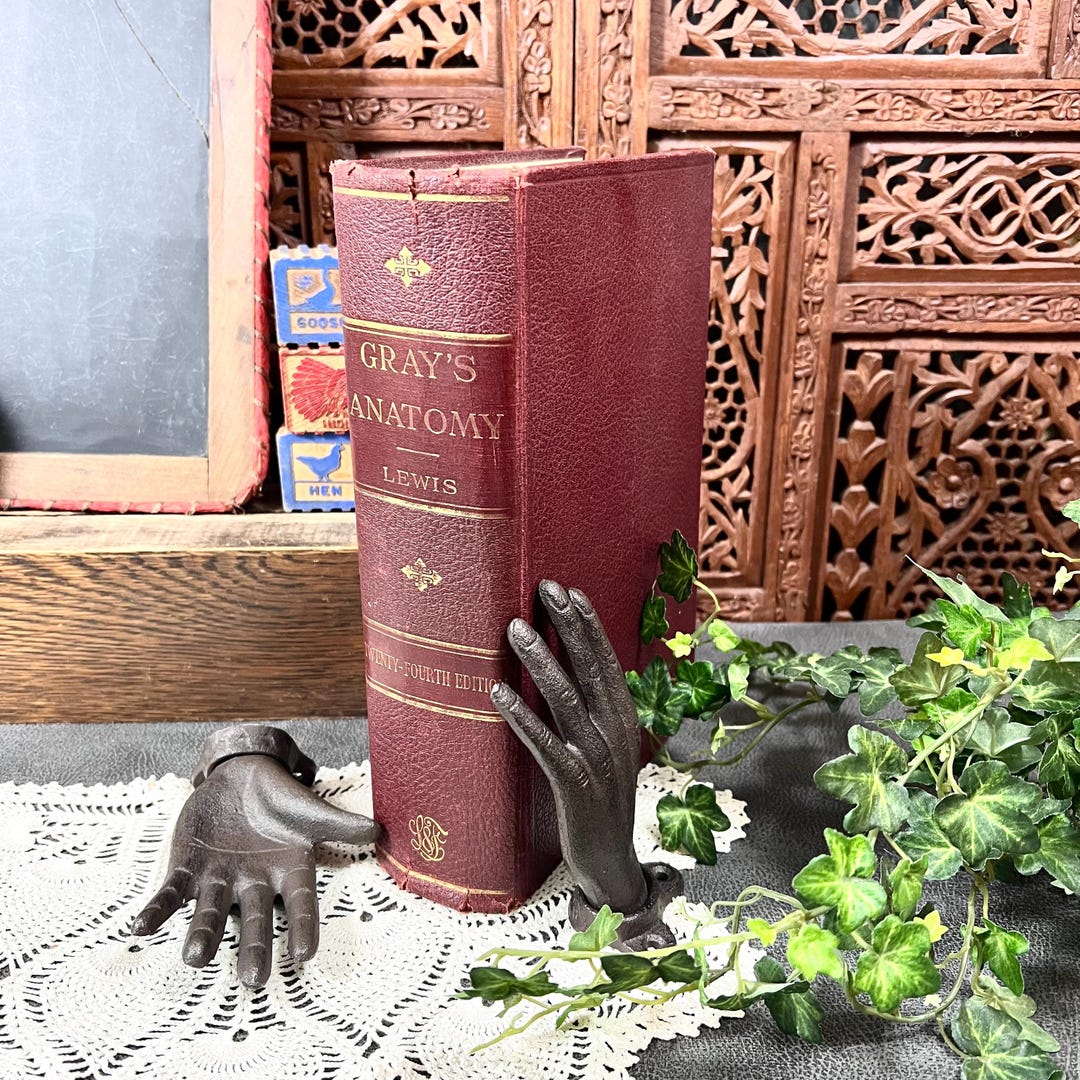 1944 Vintage Medical Book - Anatomy of the Human Body Gray's Anatomy ...