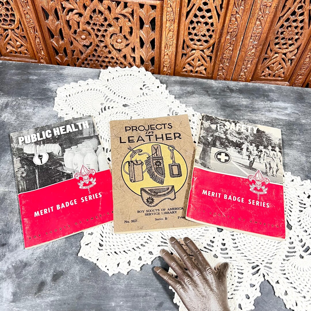 Scouting 3 Boy Scout Merit Badge & Craft Booklet - Public Health ...