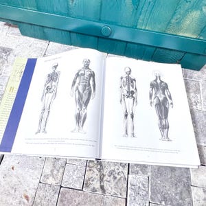 1996 Vintage Cyclopedia Anatomicae Hardcover W/ Dust Jacket Coffee ...