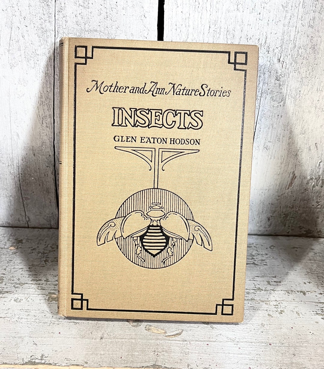 1928 Insects: Mother and Ann Nature Stories by Glen Eaton - Etsy