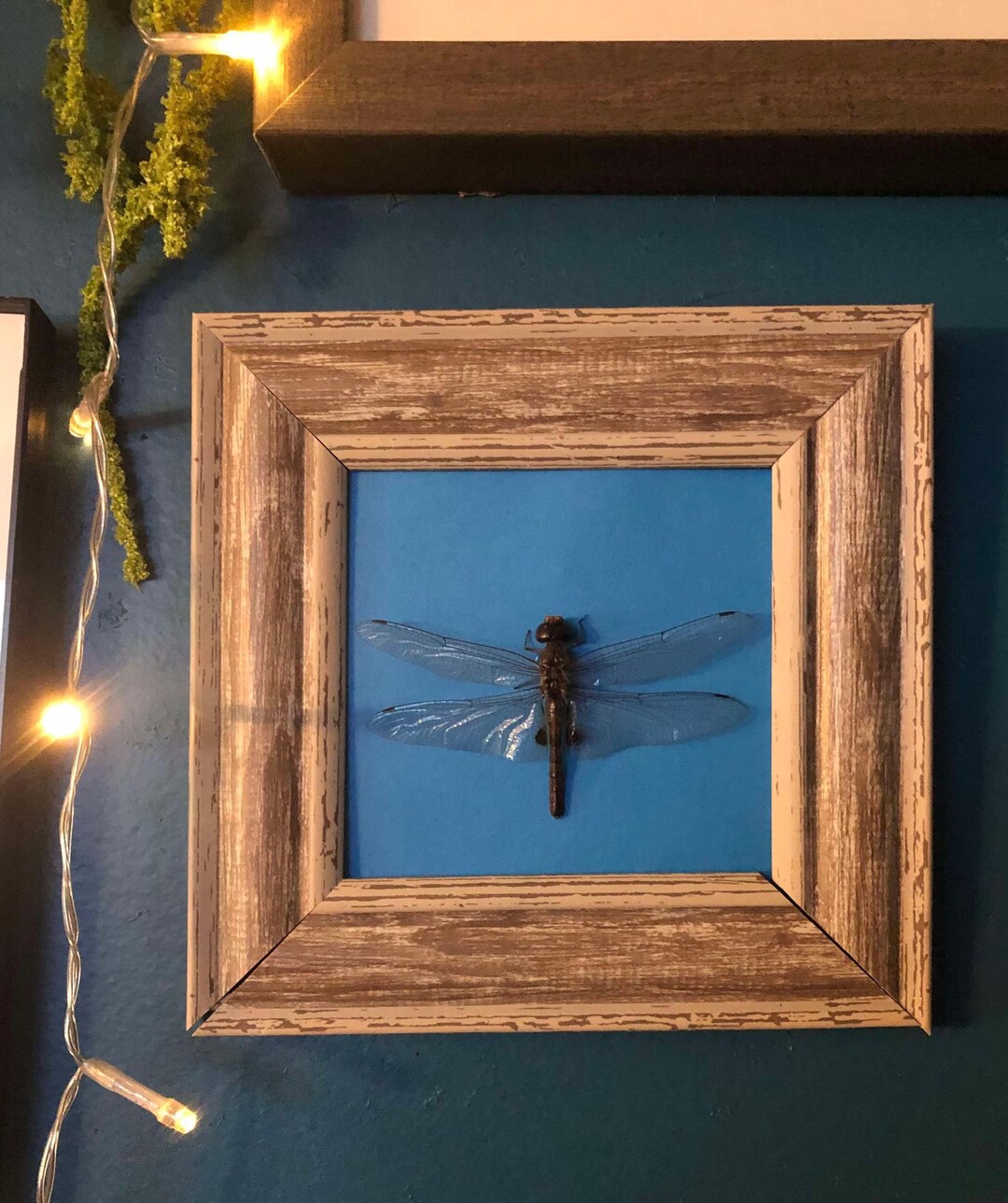 Dragonfly Frame - Etsy