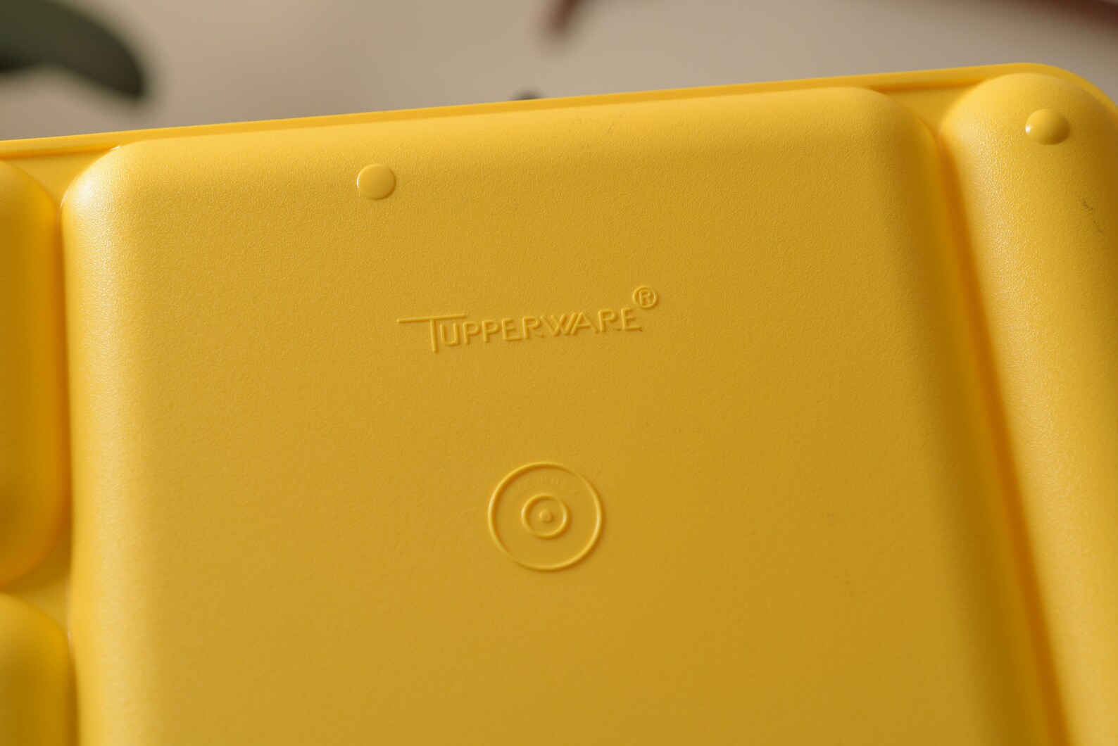 Vintage || Tupperware || Camping Trays || Serving Tray || Vintage ...