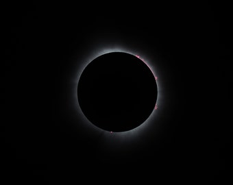 Solar Eclipse 2024 Photo Print Solar Flares Detail - Etsy