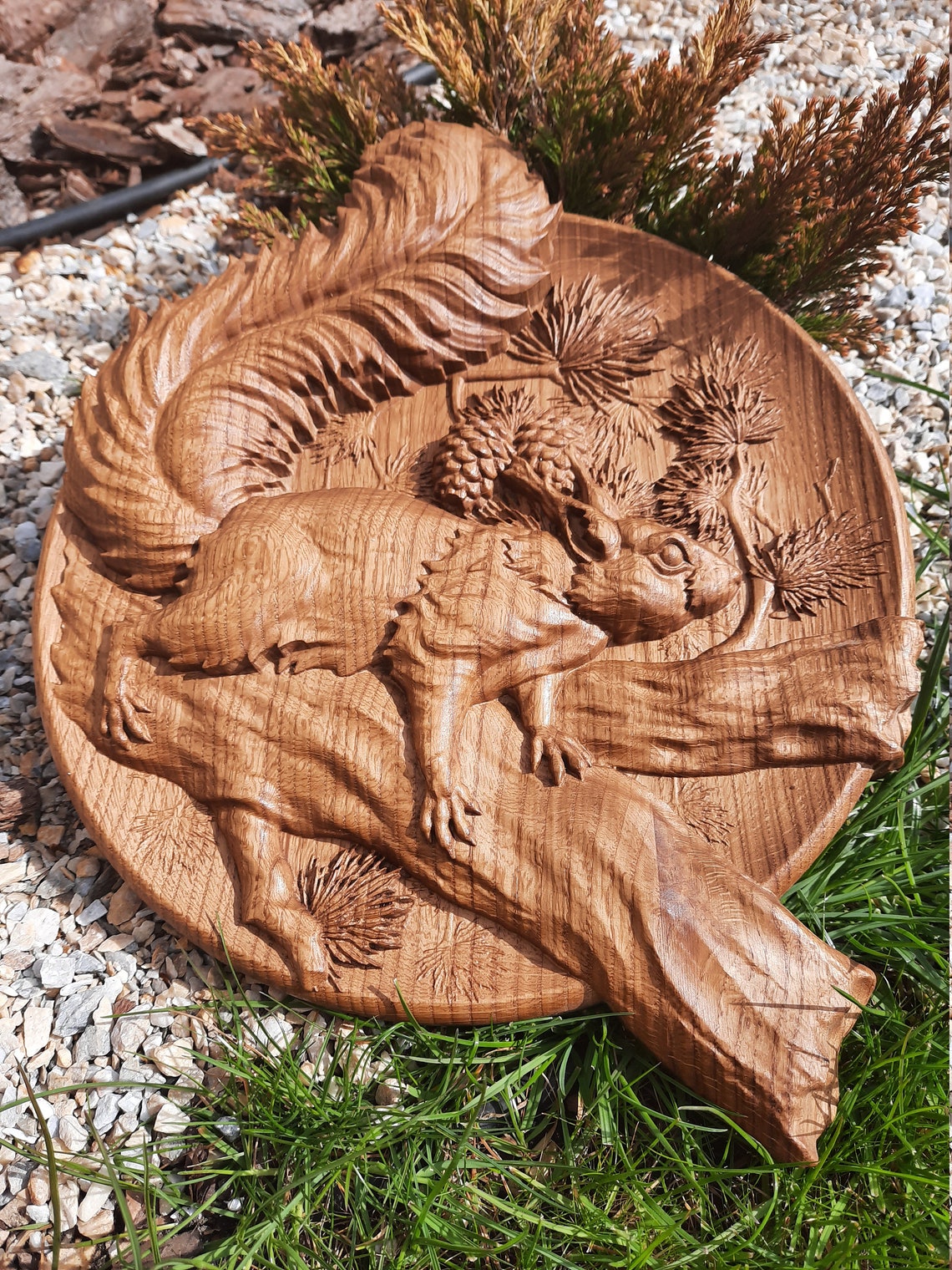Squirel Wooden Wall Plate Nature Wood Wall Round Art Wooden - Etsy