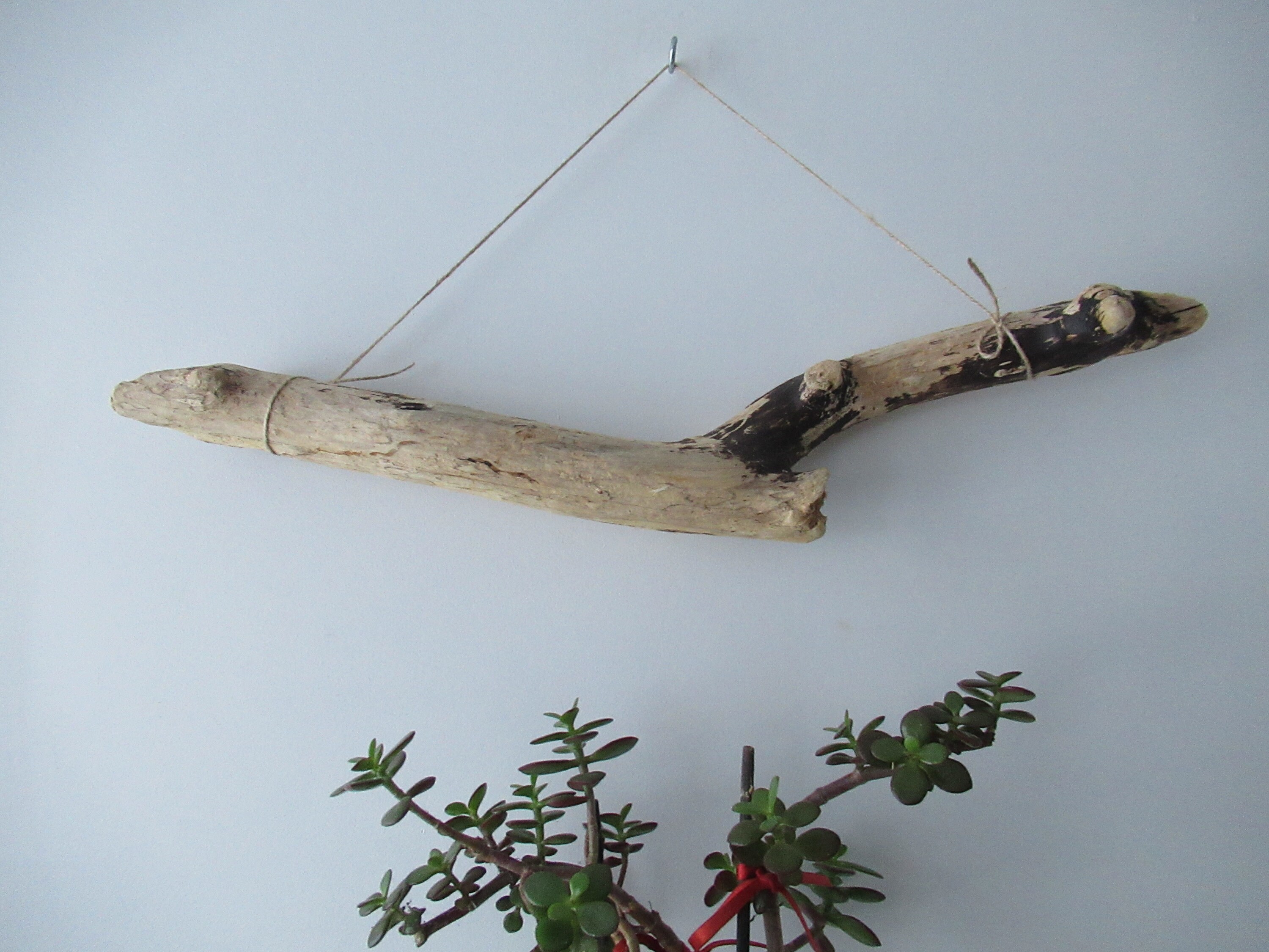 Bi-colored Super Sturdy Drift Wood Dowel Driftwood Branch for | Etsy