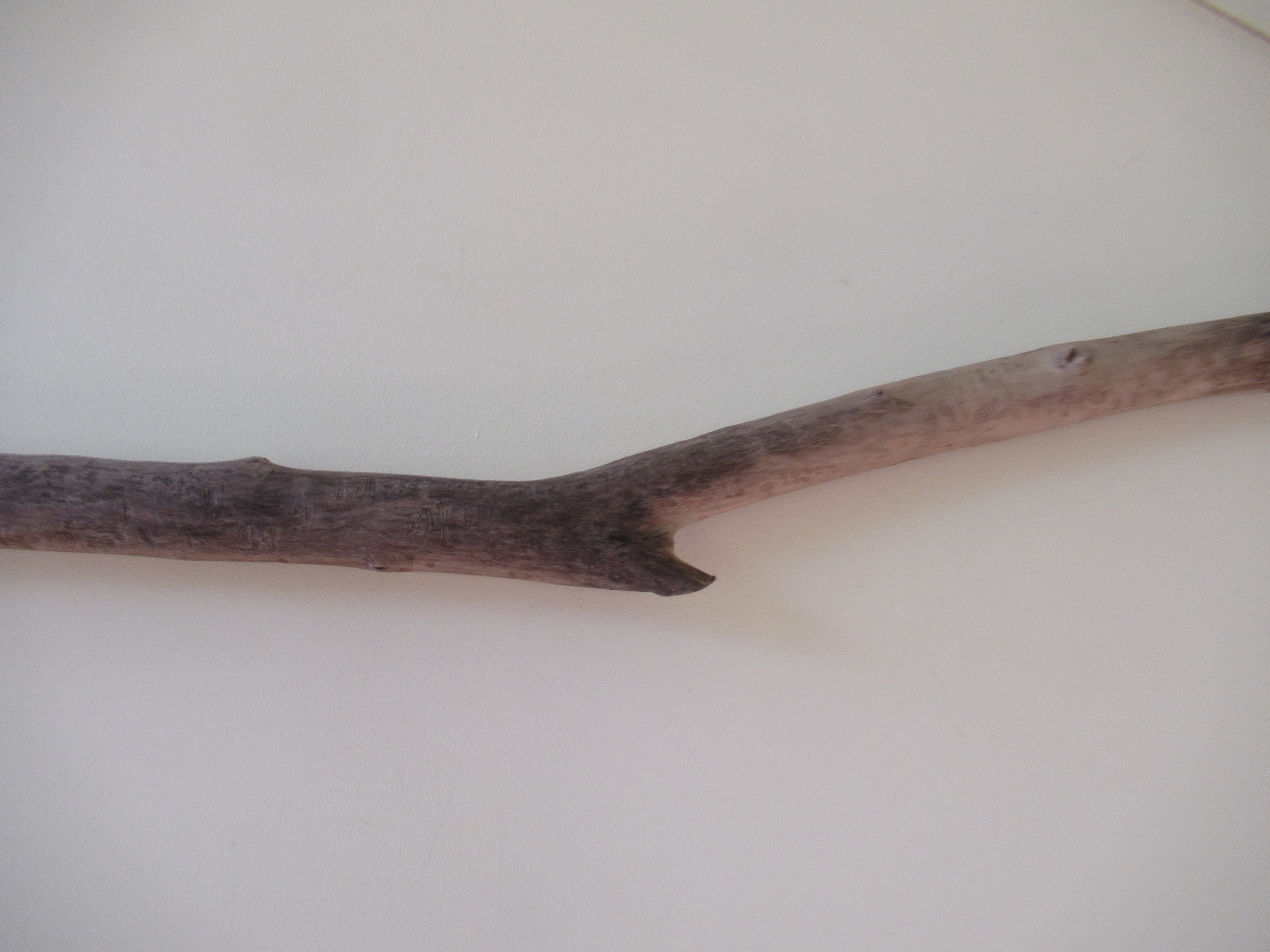 Large Driftwood Branch Clothing Rack Large Hanging Heavy Duty | Etsy