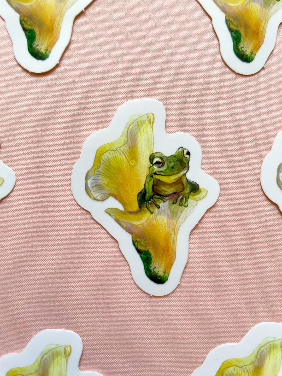 Frog on Mushroom Sticker. Cottagecore Mushroom Decal. Transparent ...