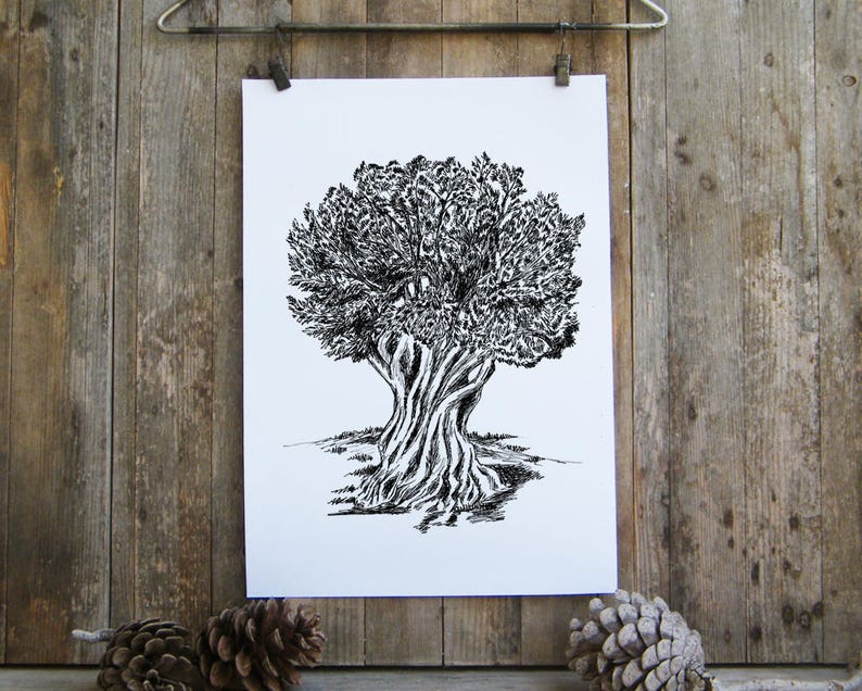 Olive Tree Paintings Tree Print Printable Wall Art Nature | Etsy