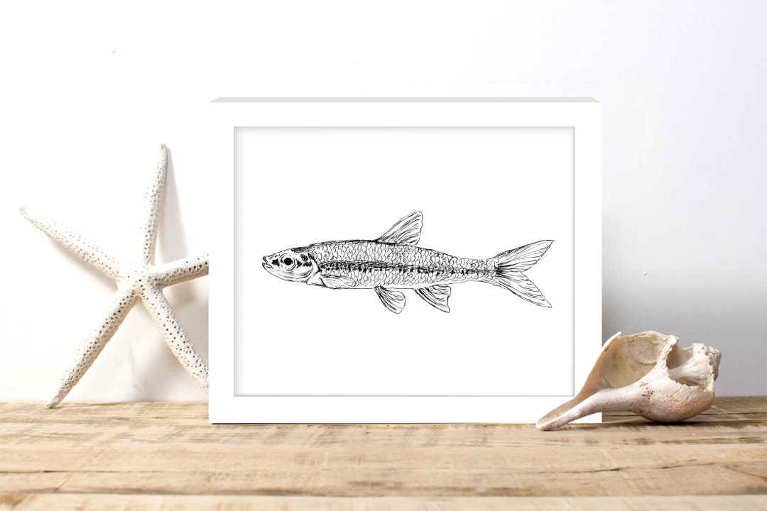 Minnow Printable, Cute Fish Poster, Sea Life Art, Nursery Decor, Minnow ...