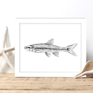 Minnow Printable, Cute Fish Poster, Sea Life Art, Nursery Decor, Minnow ...