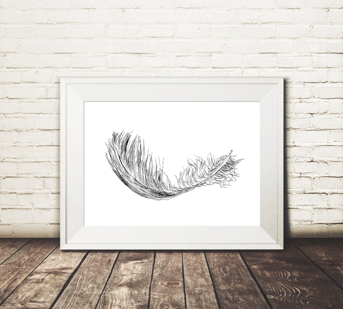 Feather Wall Art Feather Poster Digital Art Print Feather | Etsy