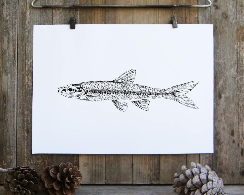Minnow Printable Cute Fish Poster Sea Life Art Nursery - Etsy
