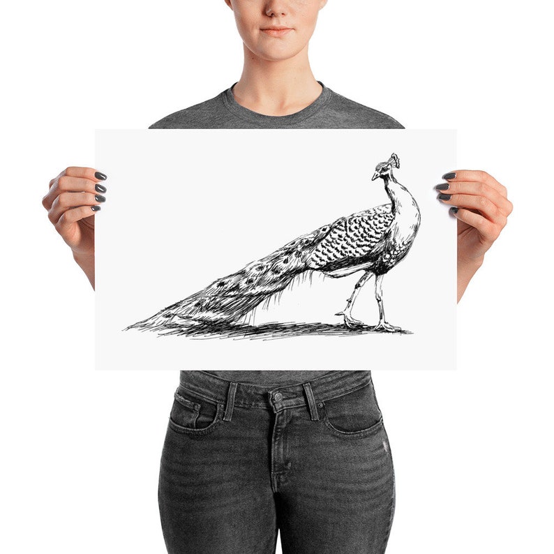 Peacock Poster Peacock Print Black And White Peacock Decor Etsy