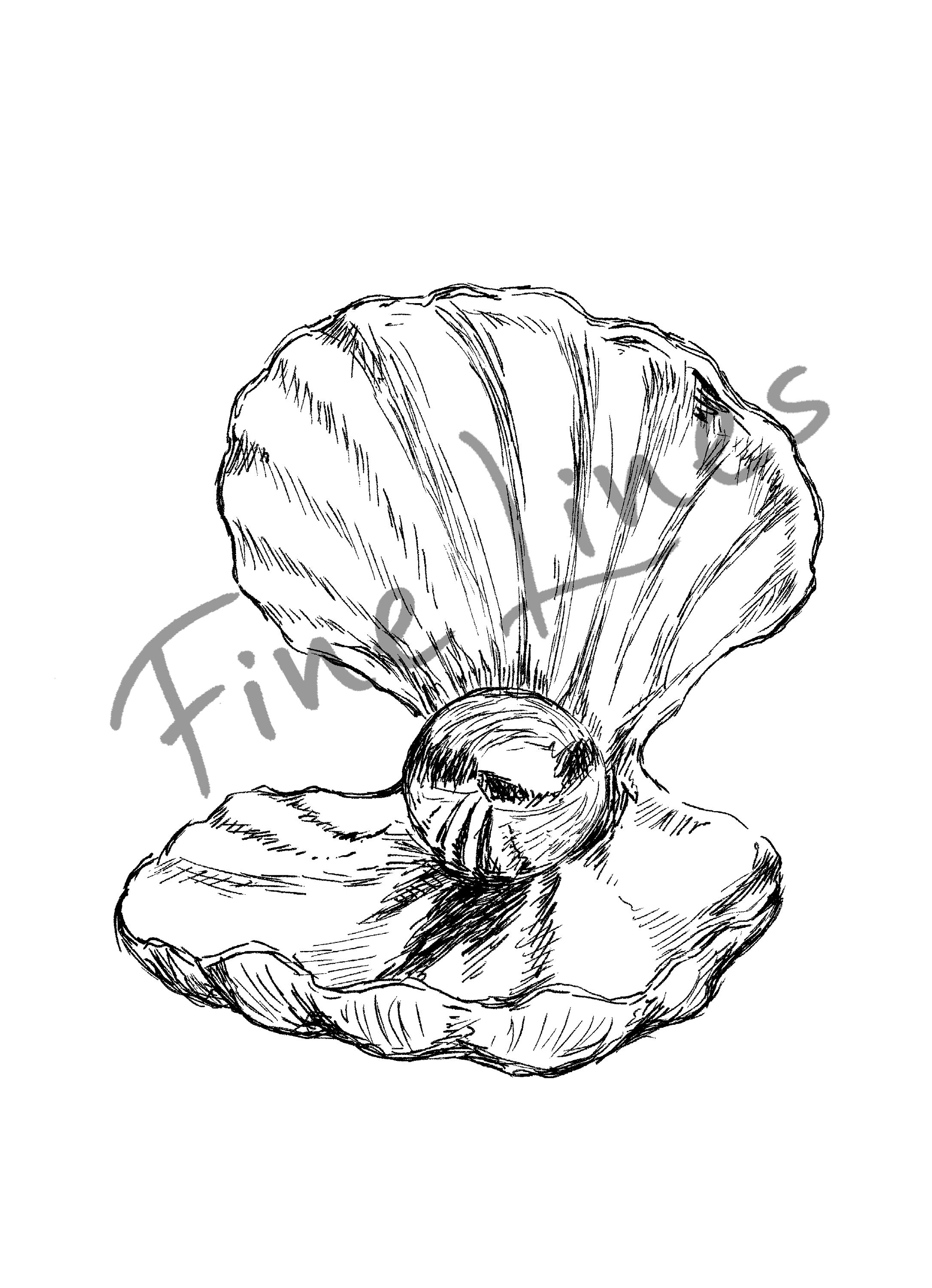 Sea Shell Sketch, Black and White Pearl Print, Printable Wall Art, A4 ...