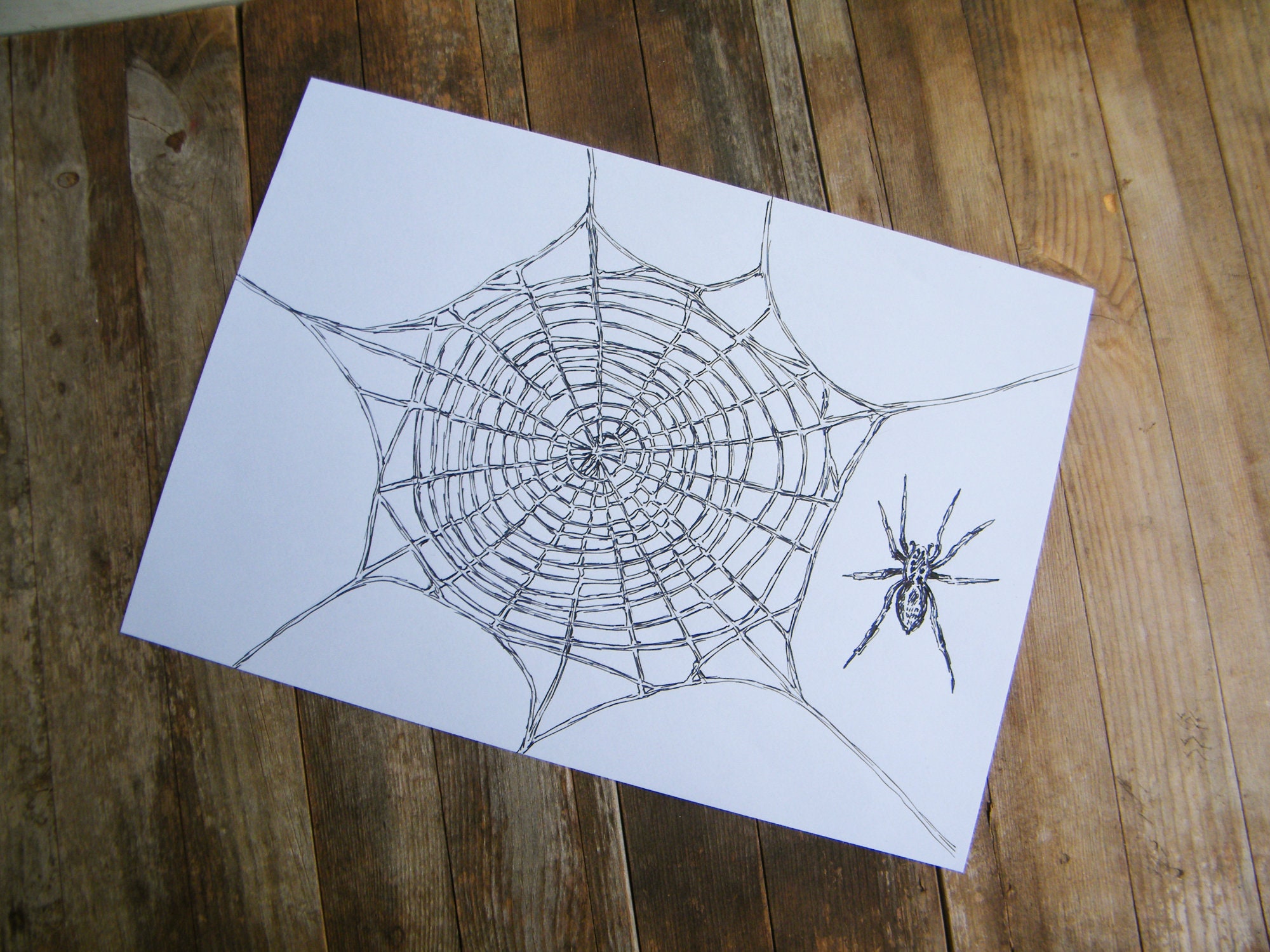 Halloween Spider Web Digital Print Black and White Cobwebs | Etsy