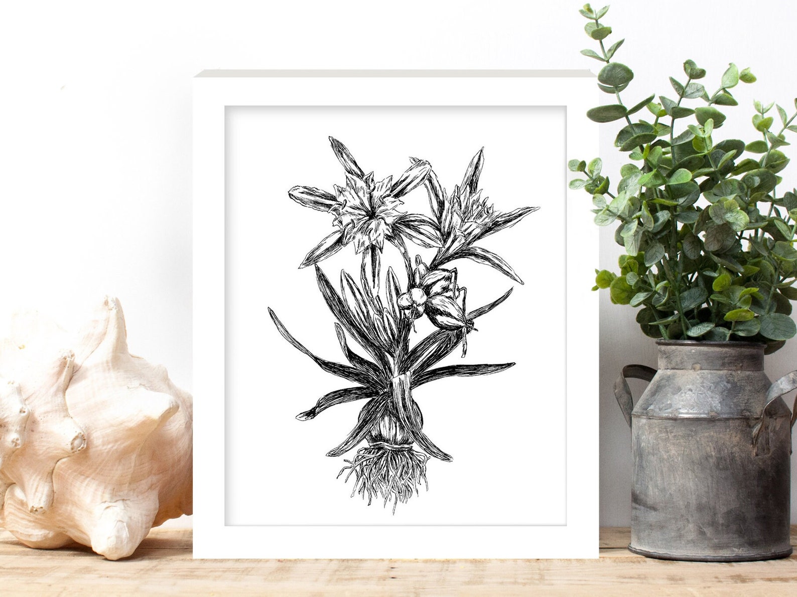 Printable Sea Daffodil Art Print Drawing Art Print Coloring | Etsy