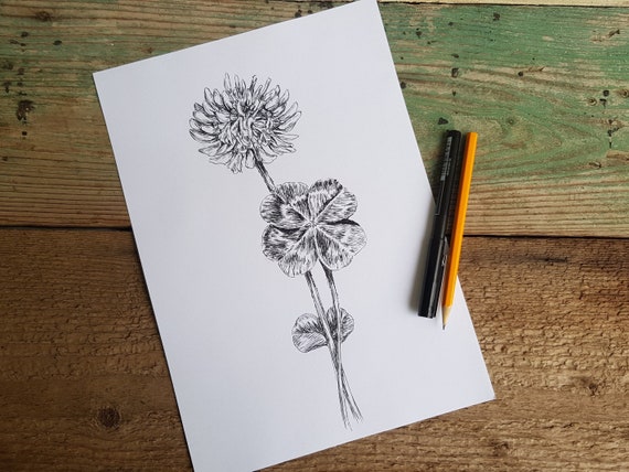 Four Leaf Clover Drawing Pencil