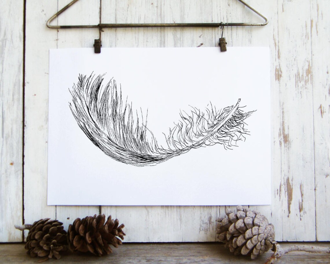 Feather Wall Art Feather Poster Digital Art Print Feather | Etsy