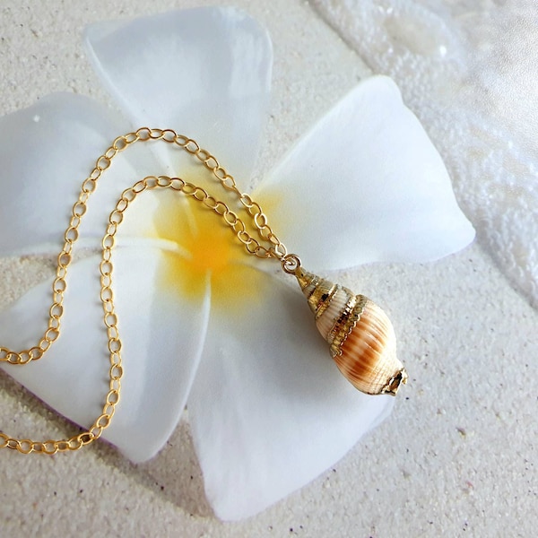 Conch Shell Necklace - Etsy