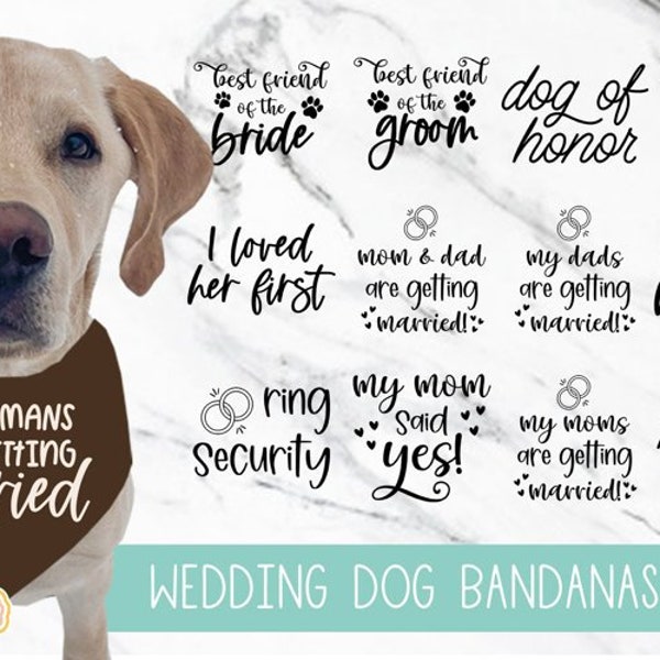 Dog Bandana Svg - Etsy