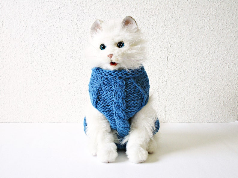 Blue cat jumper Knit cat sweater Knit pets sweater Knit kitten | Etsy