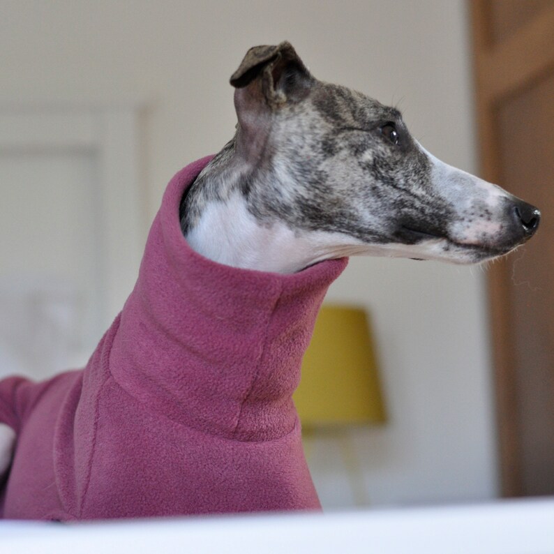 Whippet Fleece Jumper light Colours - Etsy