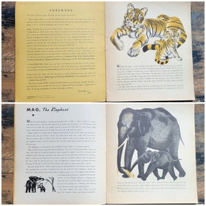 Wild Animals and Their Little Ones, A 1933 Pere Castor Book Illustrated ...