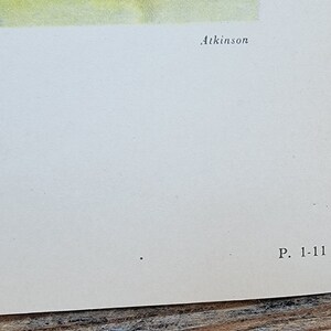 Maud T. Atkinson Illustration "the Marketplace" Providence Lithograph ...