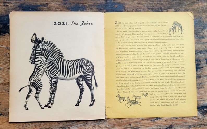 Wild Animals and Their Little Ones A 1933 Pere Castor Book - Etsy