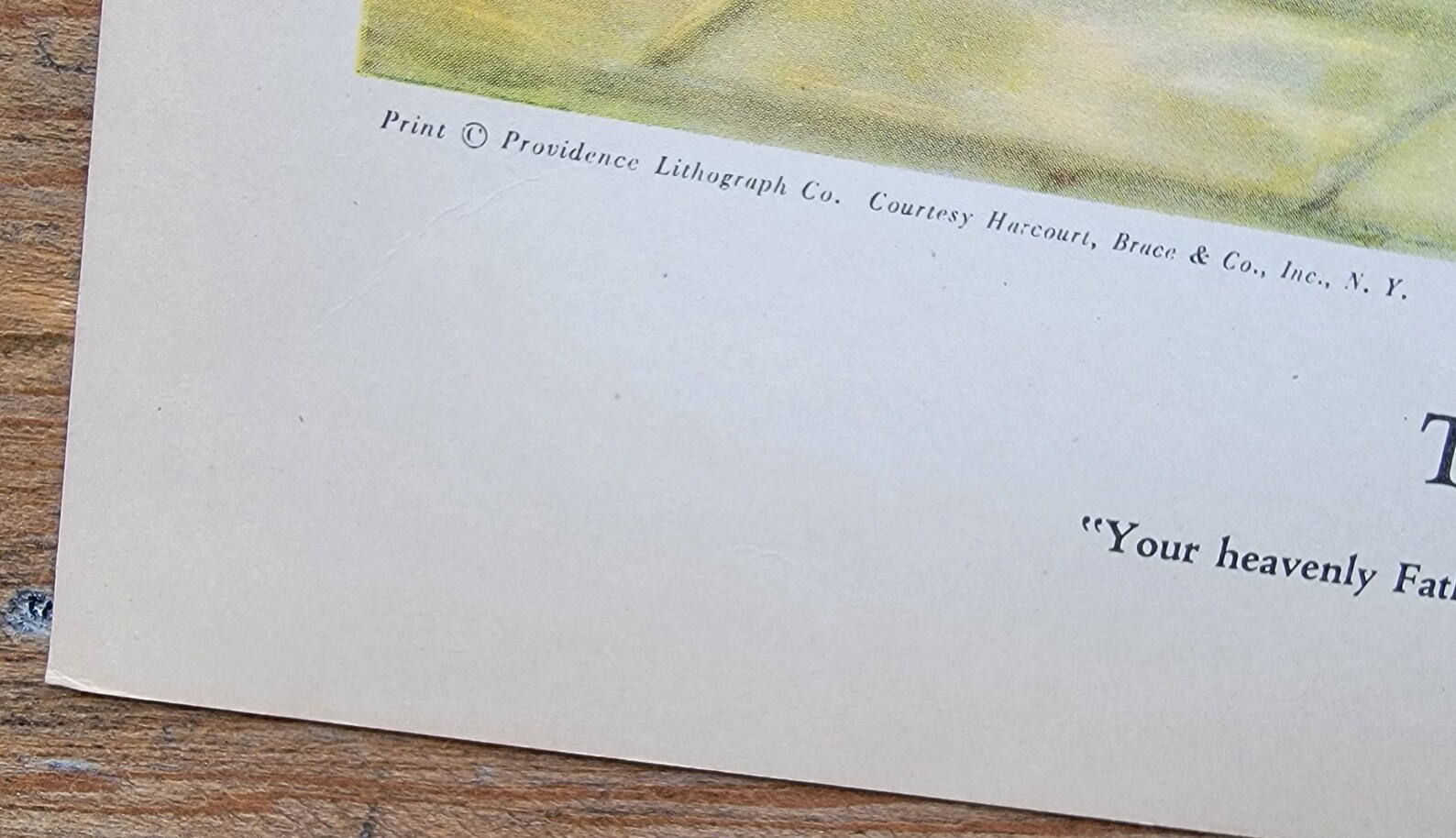 Maud T. Atkinson Illustration the Marketplace | Etsy