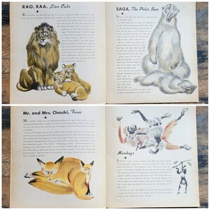 Wild Animals and Their Little Ones, A 1933 Pere Castor Book Illustrated ...