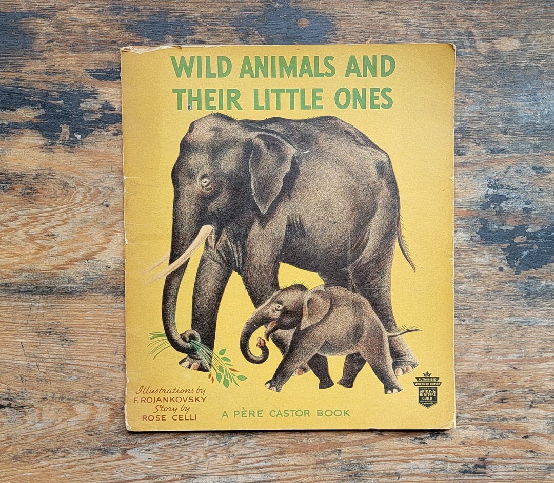 Wild Animals and Their Little Ones, A 1933 Pere Castor Book Illustrated ...