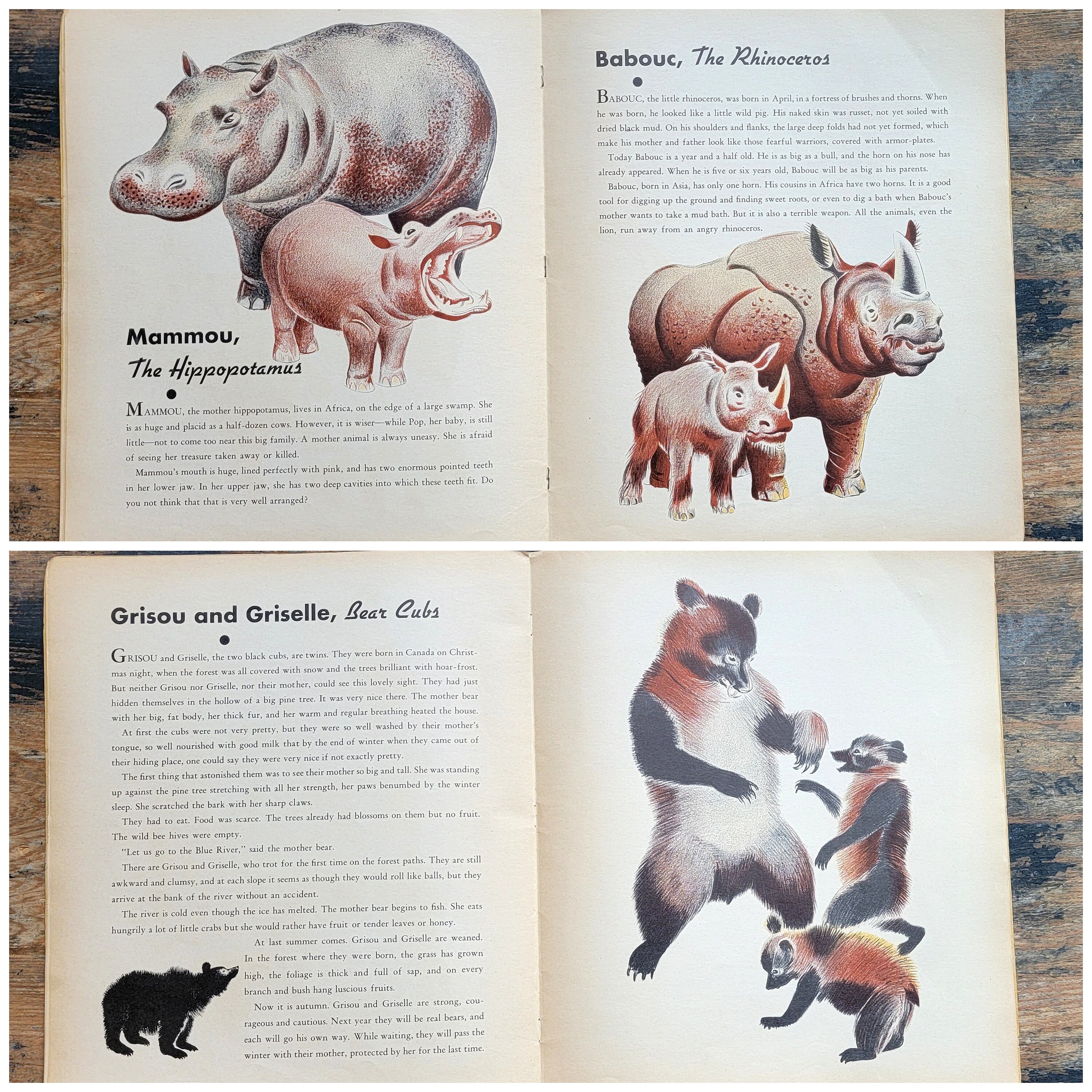 Wild Animals and Their Little Ones, A 1933 Pere Castor Book Illustrated ...