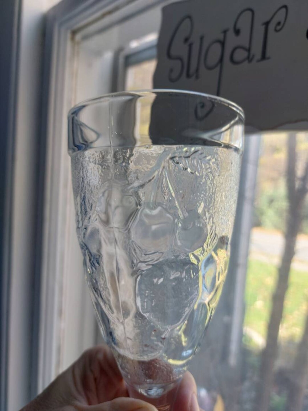 Arcoroc France Pressed Glass Water Goblet Glasses Embossed Fruit Design ...