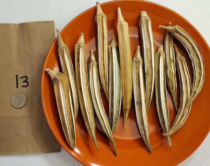 13 Natural OKRA PODS Organic Decor Folk Art for Floral Arrangement ...