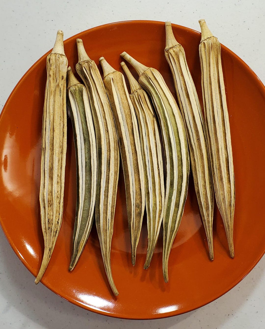 8 Extra Long Natural OKRA PODS Organic Decor Folk Art Floral ...