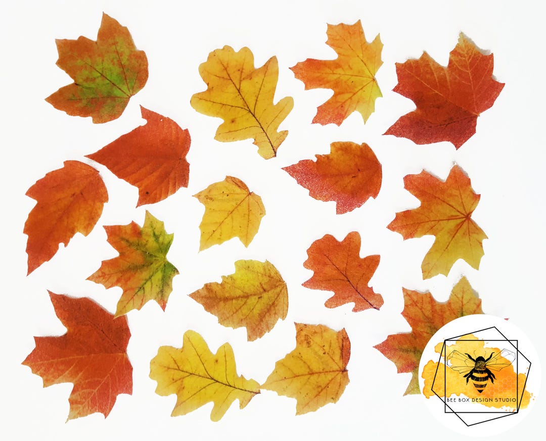 Edible Fall Leaves - Etsy