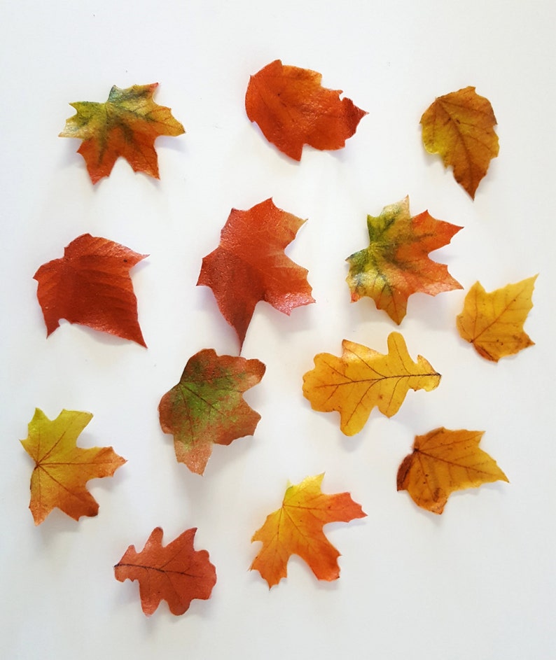 16 Edible Fall Leaves Drink Toppers - Etsy