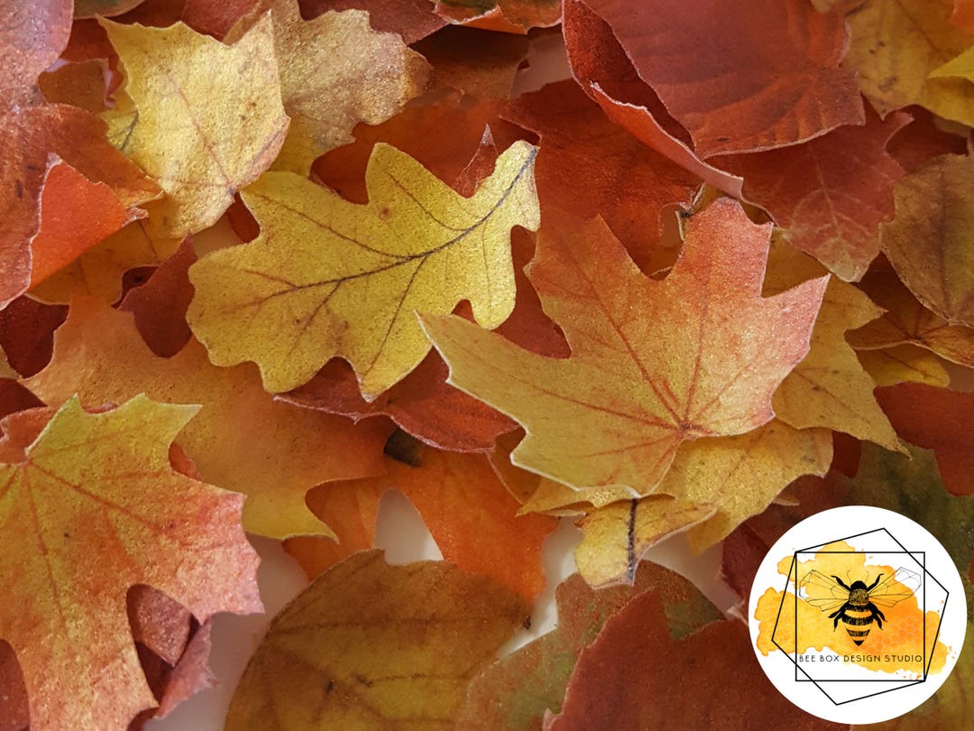 Edible Fall Leaves, Double Sided - Etsy