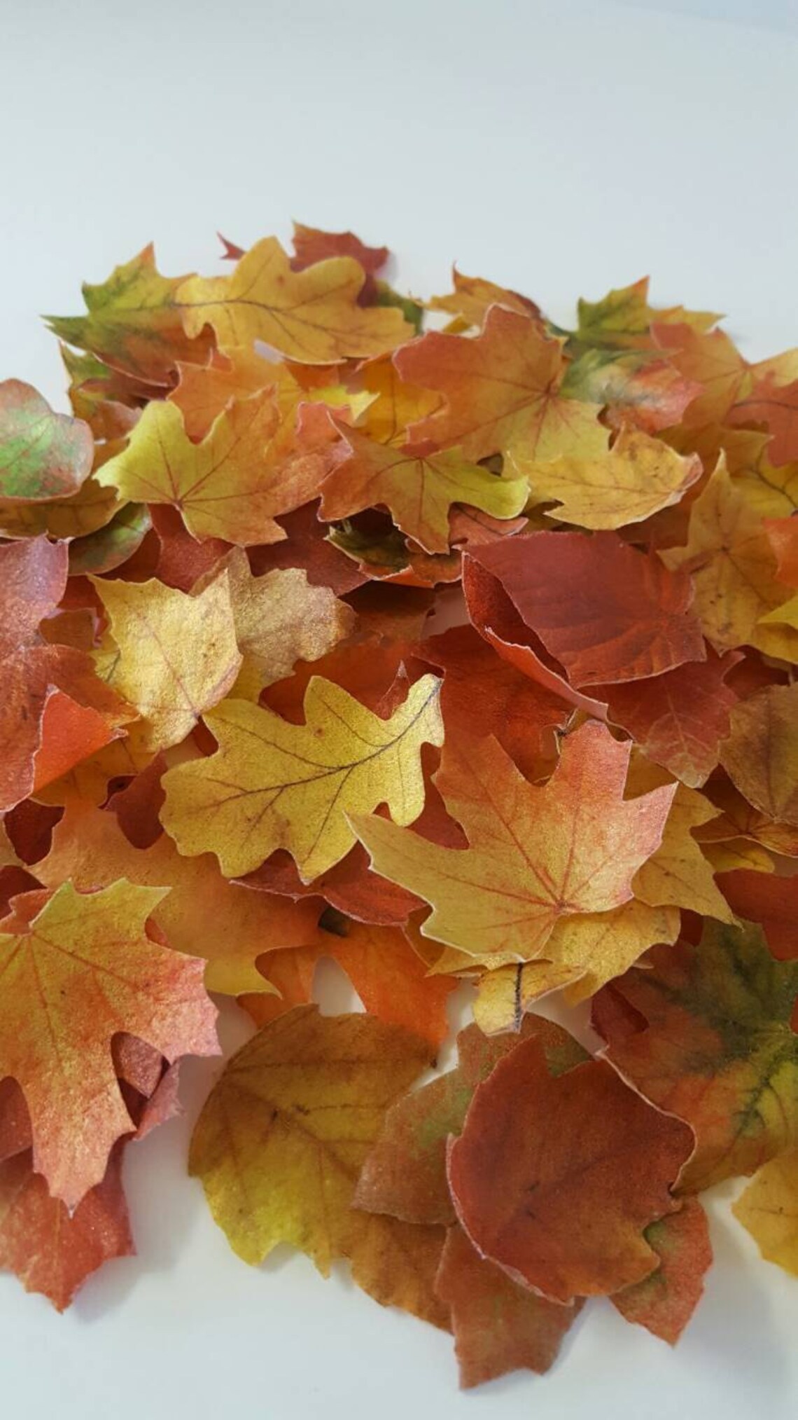 Edible Fall Leaves Double Sided - Etsy