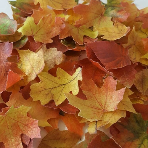 Autumn Gum Paste Fall Edible Leaves for Cake Decorating - Etsy