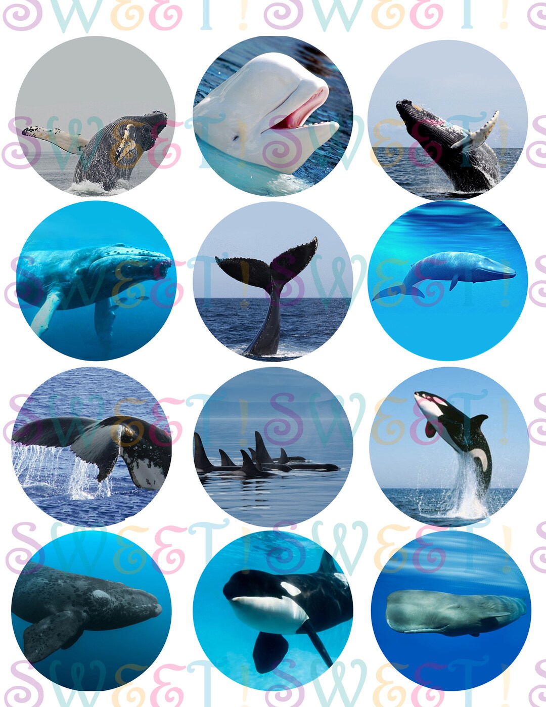 Edible Whale Cupcake, Cookie, Oreo & Drink Toppers Wafer Paper or ...