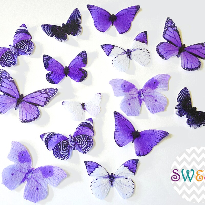 Wafer Paper Butterflies - Etsy