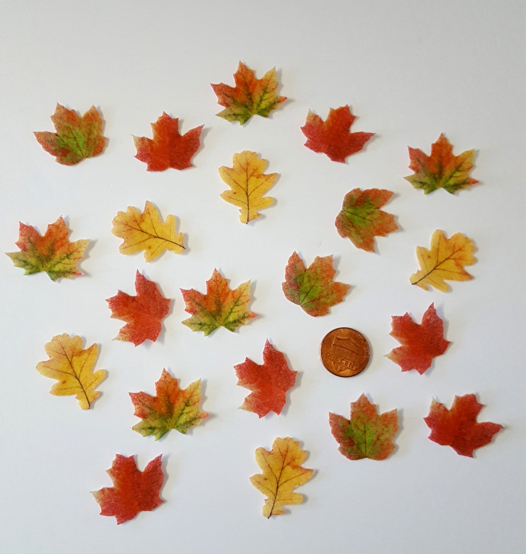 Edible Mini Fall Leaves - Etsy